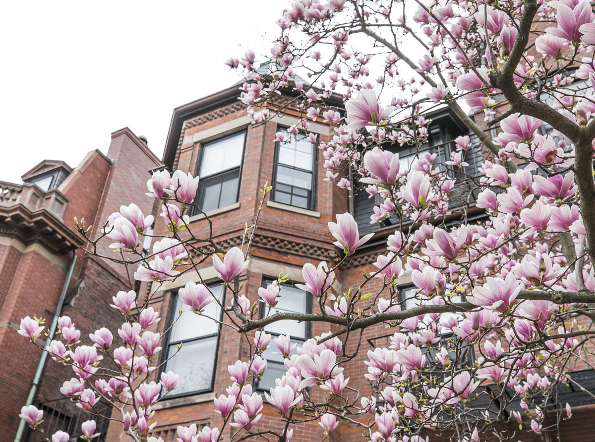 spring boston months