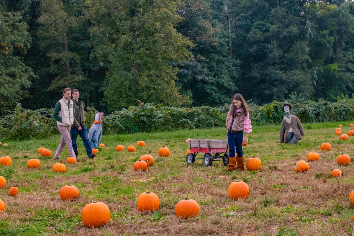 Snipes Farm and Education Center