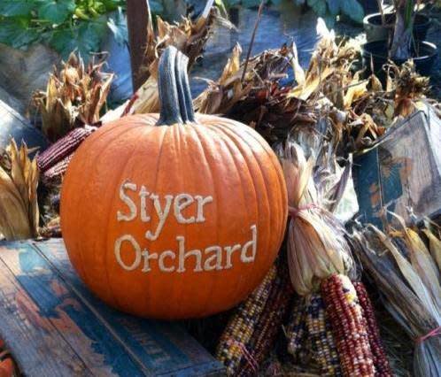 Styer Orchard