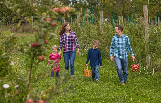 fall orchard activities
