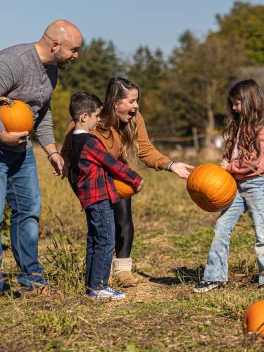 fall orchard activities