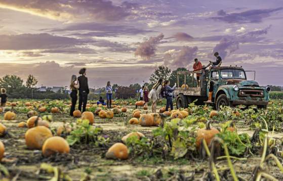 Bucks County Fall Festivals & Activities You Can’t Miss