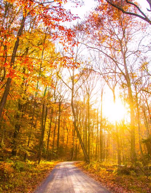 Fall in Bucks County | Foliage, Farms & Small Towns