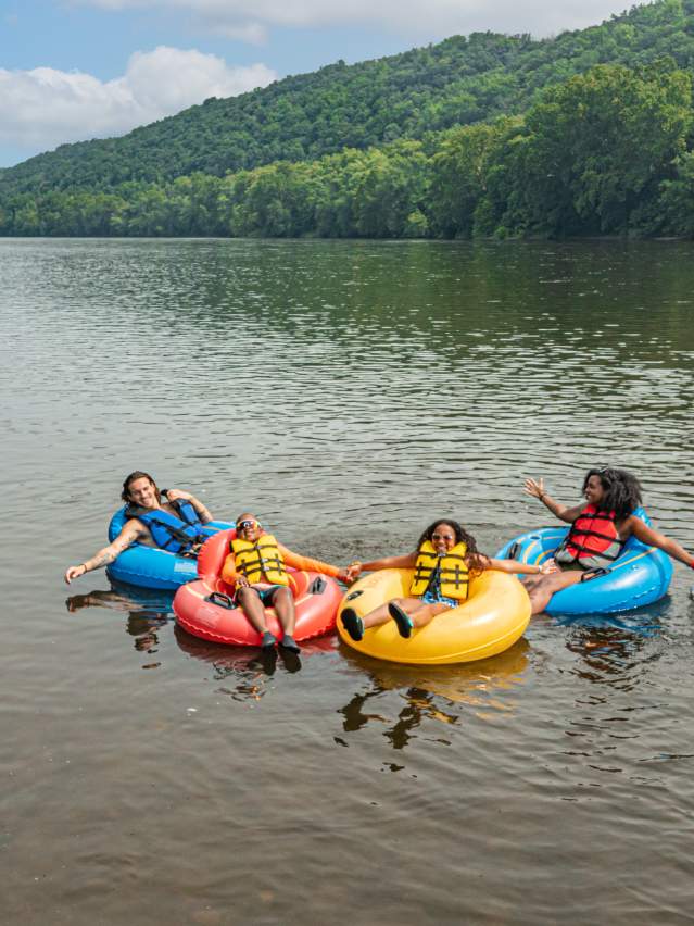 Summer in Bucks County, PA | Festivals, Sunflowers & Outdoor Fun