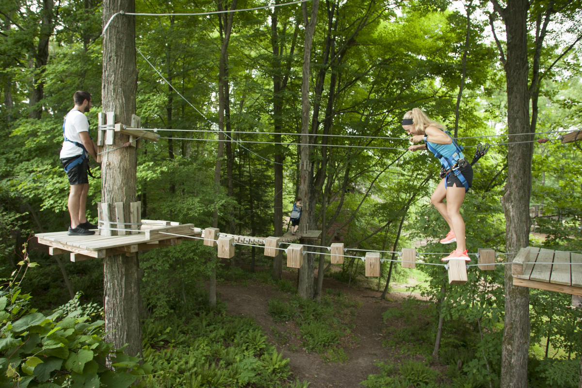 Tree Trails Trevose: The Ultimate Outdoor Adventure In Bucks County