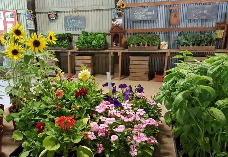 Spend a Summer Day at Snipes Farm!