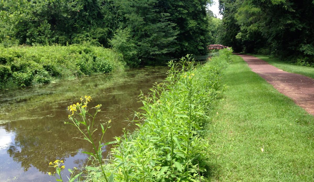 Yardley Canal Towpath