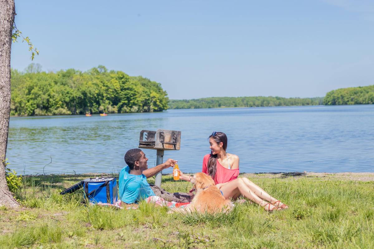 Perfect Places to Picnic
