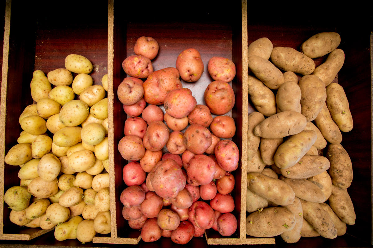 Farmers Markets in Bucks County | Fresh Finds & Local Flavor