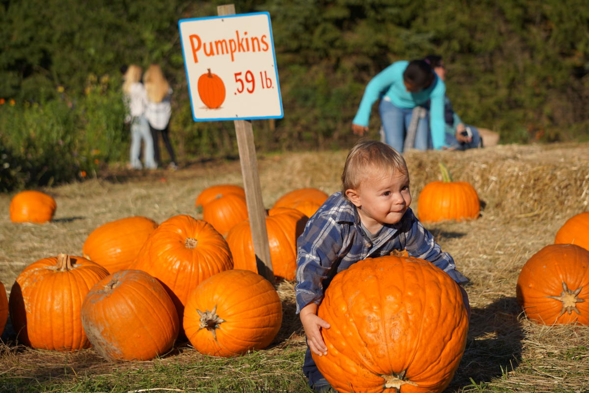 Pick Your Own Fruits and Vegetables | Bucks County Farms