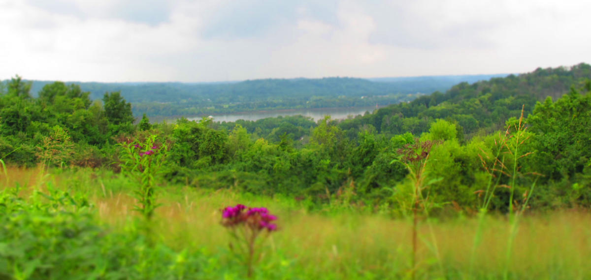 Great Parks of Hamilton County in Cincinnati | Visit Cincy