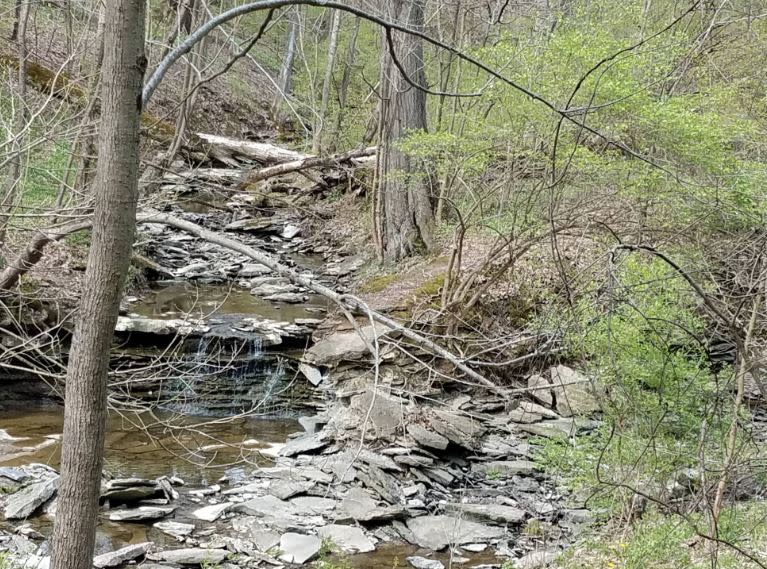 Fort Wright Nature Center