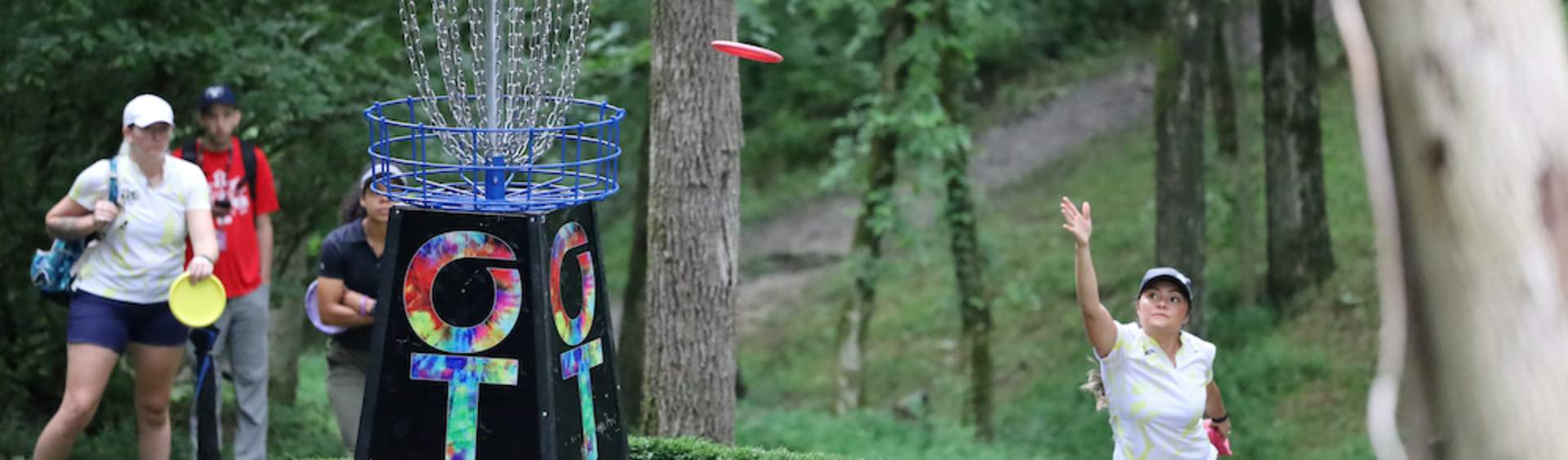 disc golf basingstoke