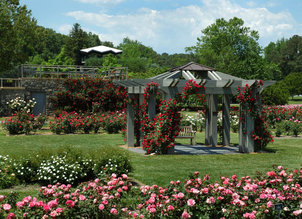 Norfolk Botanical Garden Archives | Miss Smarty Plants