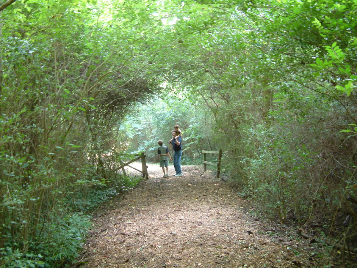Explore the Chesapeake Arboretum