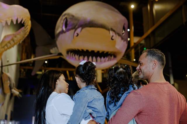 EdVenture | Discover Columbia's Award-Winning Children's Museum