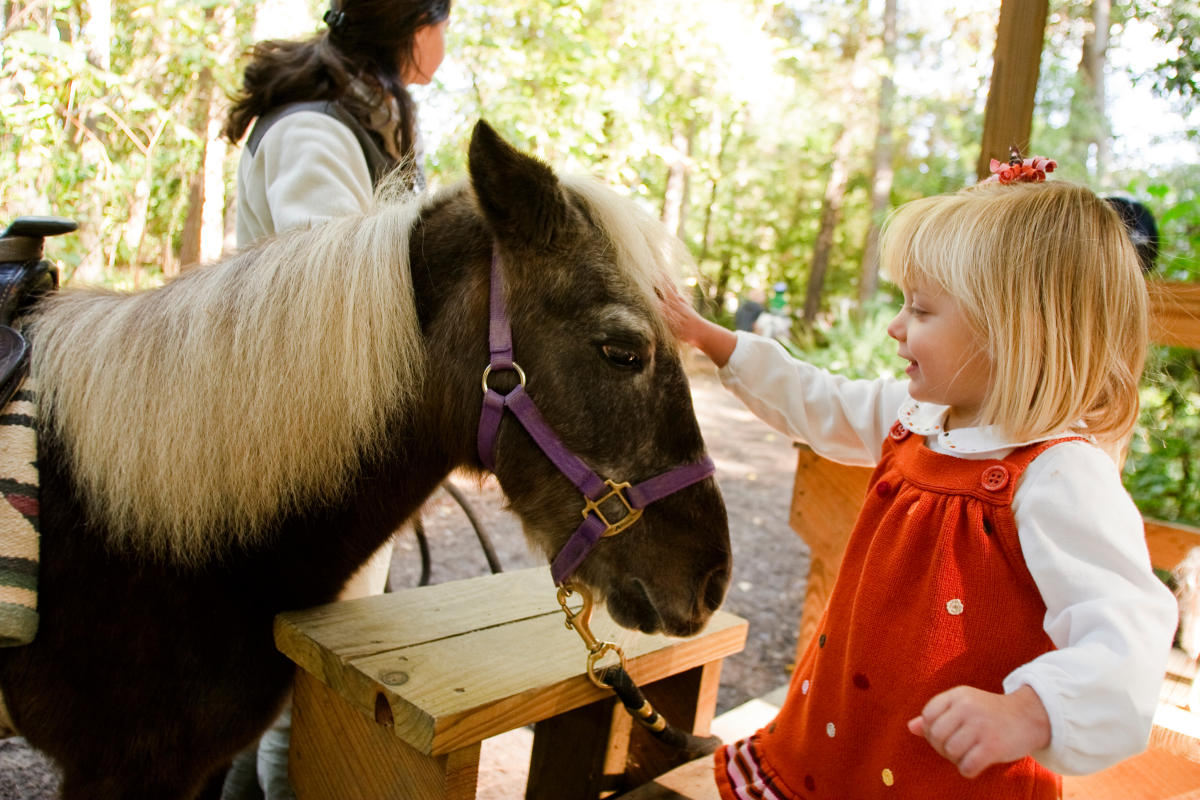 Fall Activities in Columbia, SC | Zoos, State Parks & Farms