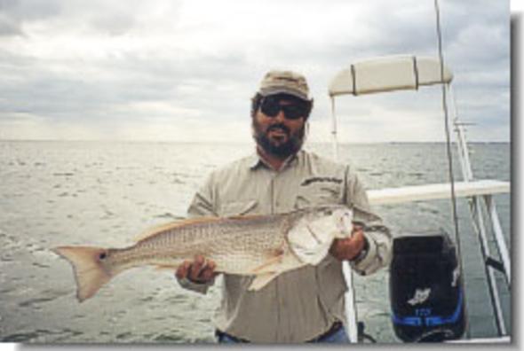fish finder charters