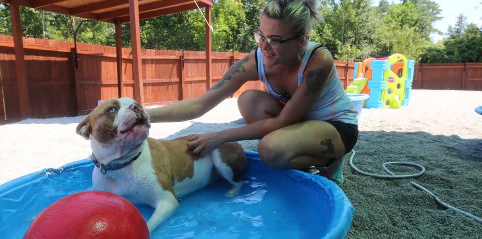 Beach Paws Pet Resort | Newport, NC