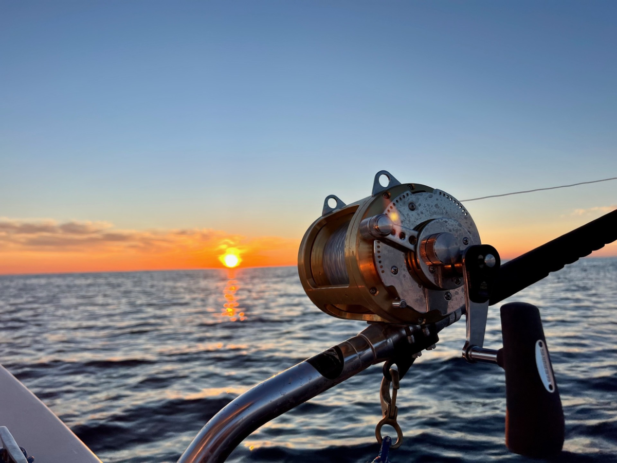 Mount Maker Charters | Morehead City, NC