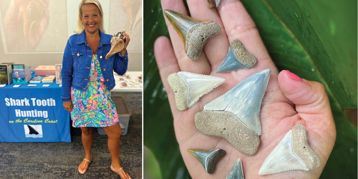 The Shark Tooth Lady @ Western Carteret Branch Library | Cape Carteret ...