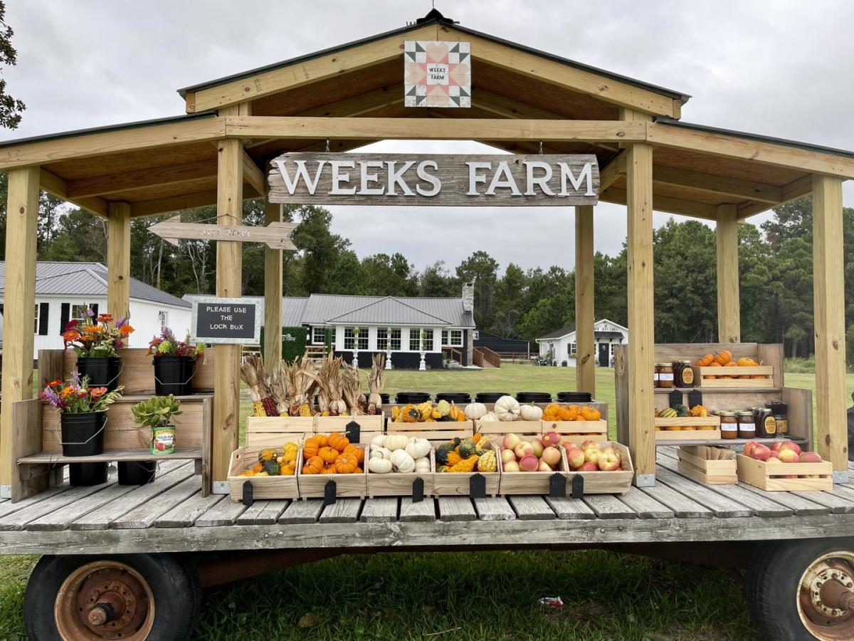 Weeks Farm | Newport, NC