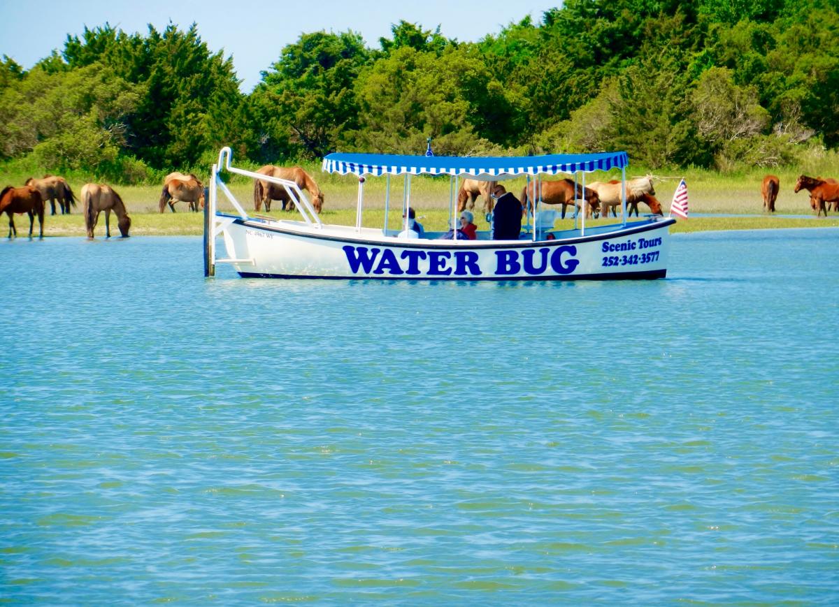 waterbug boat