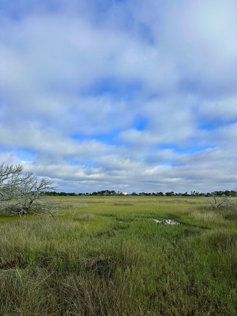 Beach Hiking Trails in North Carolina | Crystal Coast