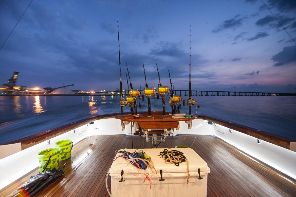 North Carolina Fish Species Guide | Crystal Coast