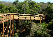 Turtle Mound | New Smyrna Beach, FL 32168