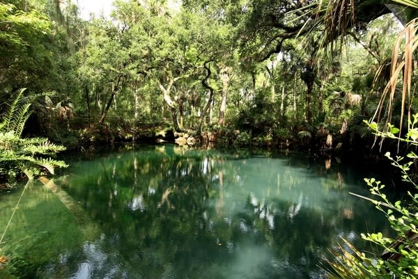 spring green enterprises