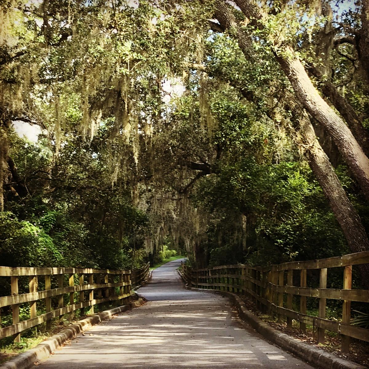 Spring-to-Spring Trail | DeBary - Orange City - DeLand, FL 32713