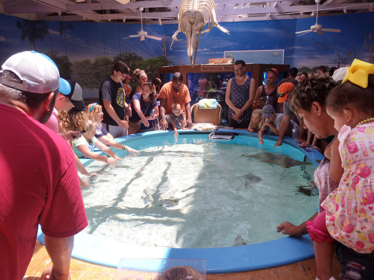 Marine Science Center | Ponce Inlet, FL 32127