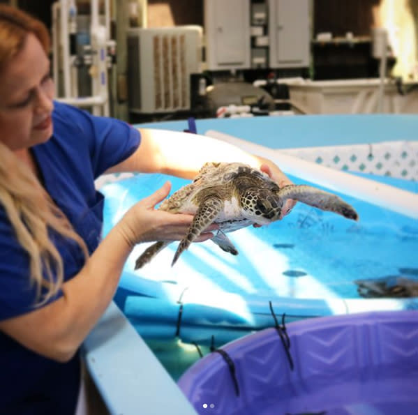 Marine Science Center | Ponce Inlet, FL 32127