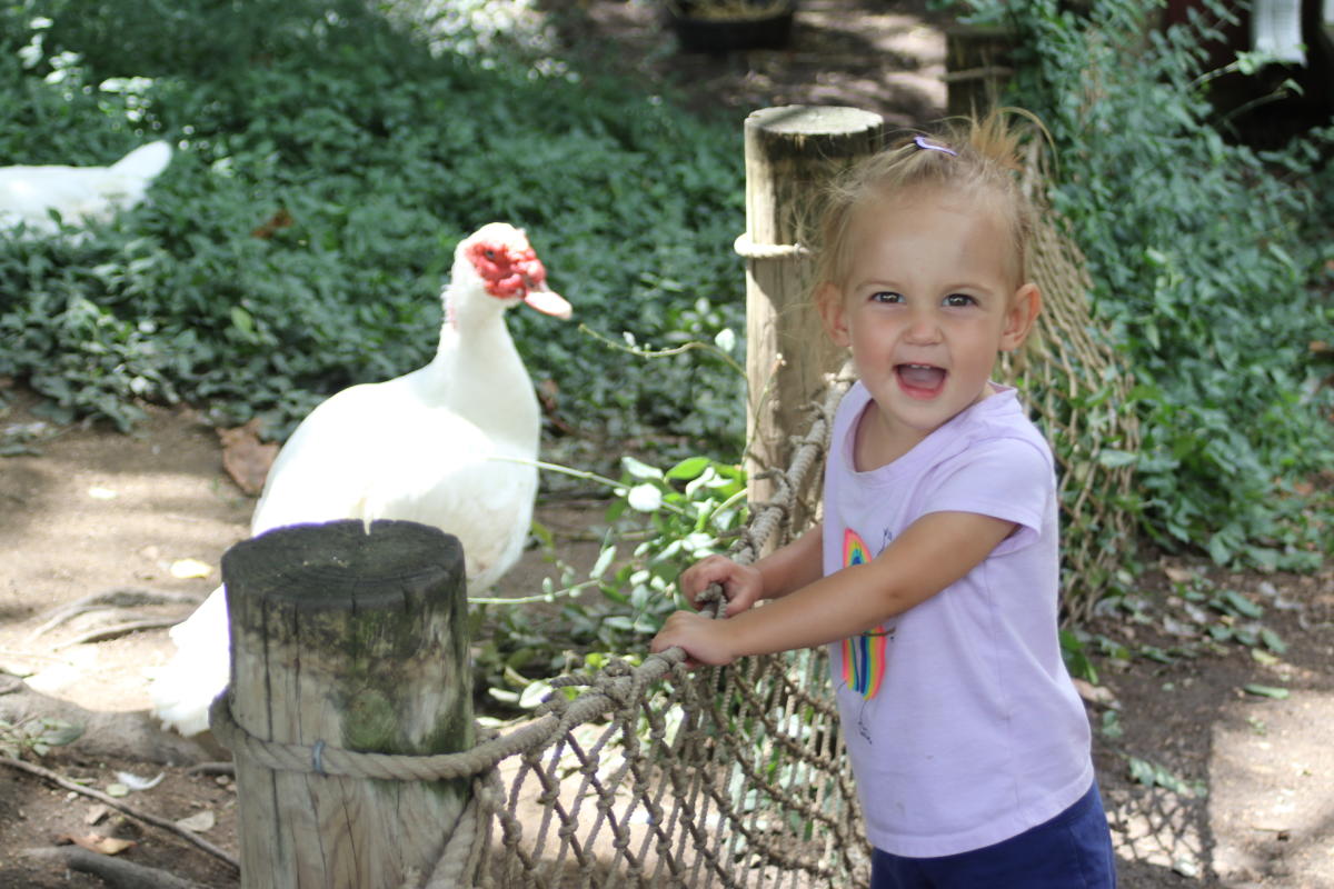 Cosley Zoo