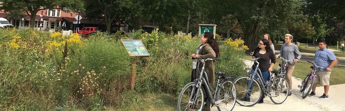 Illinois Prairie Path