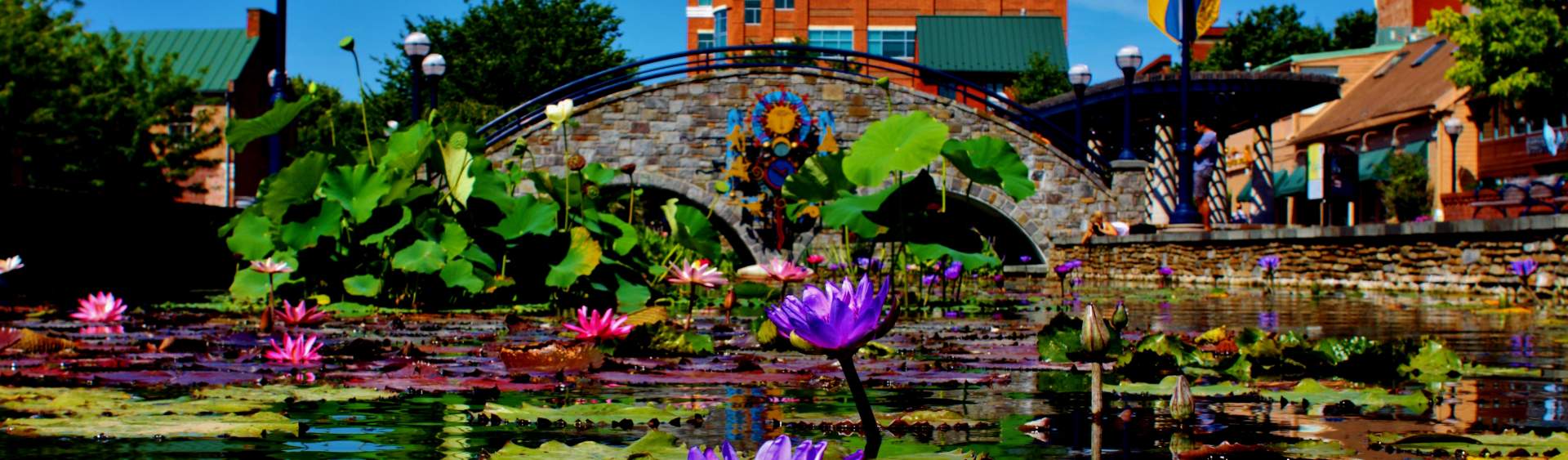 frederick's cleveleys