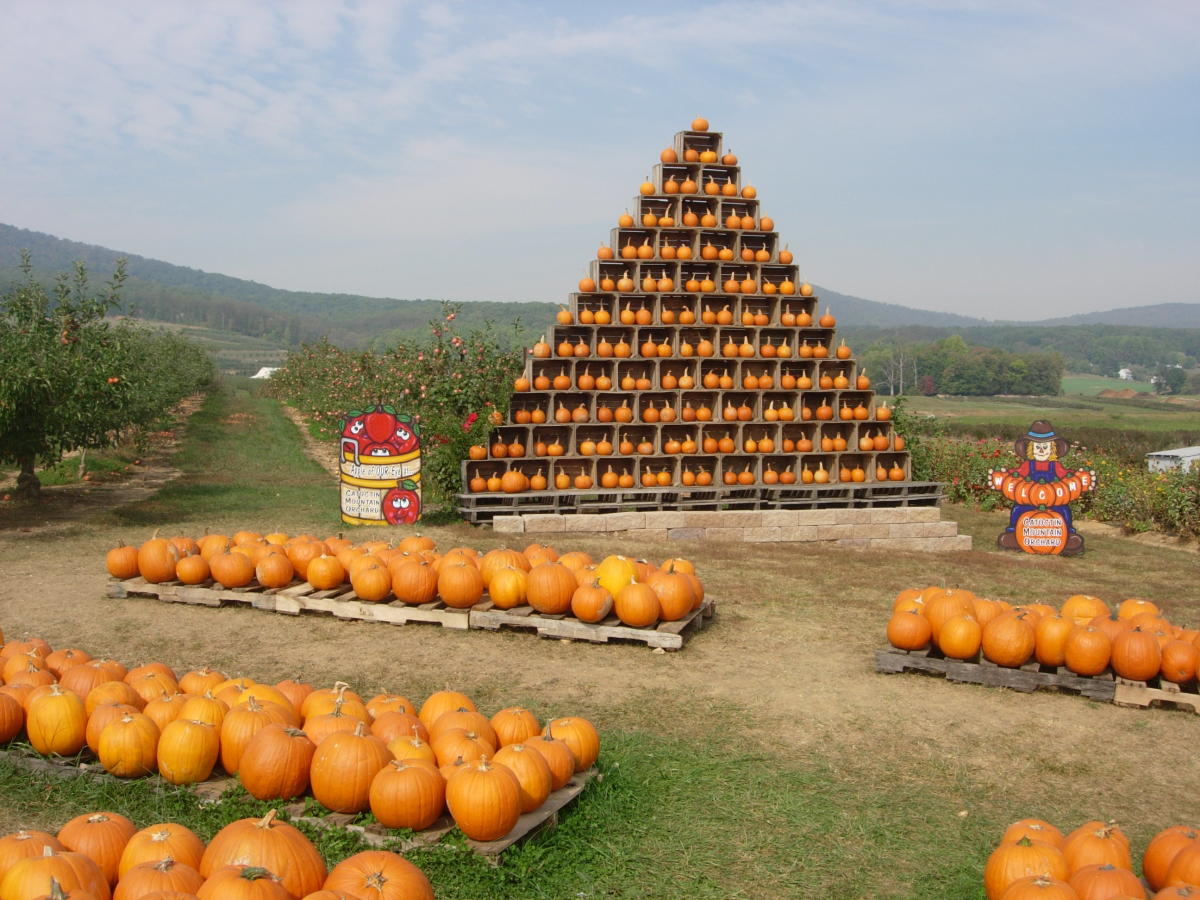 Orchards and Produce in Frederick County, MD | Markets