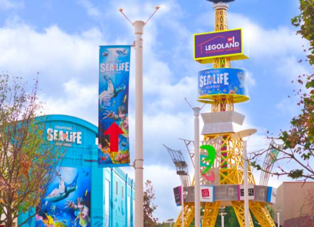 grapevine opening hours