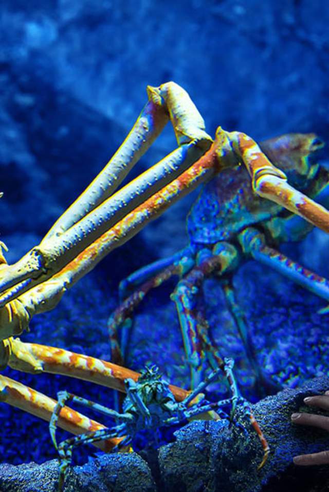 Grapevine, Texas Escape Rooms | Fun Team-Building Puzzles