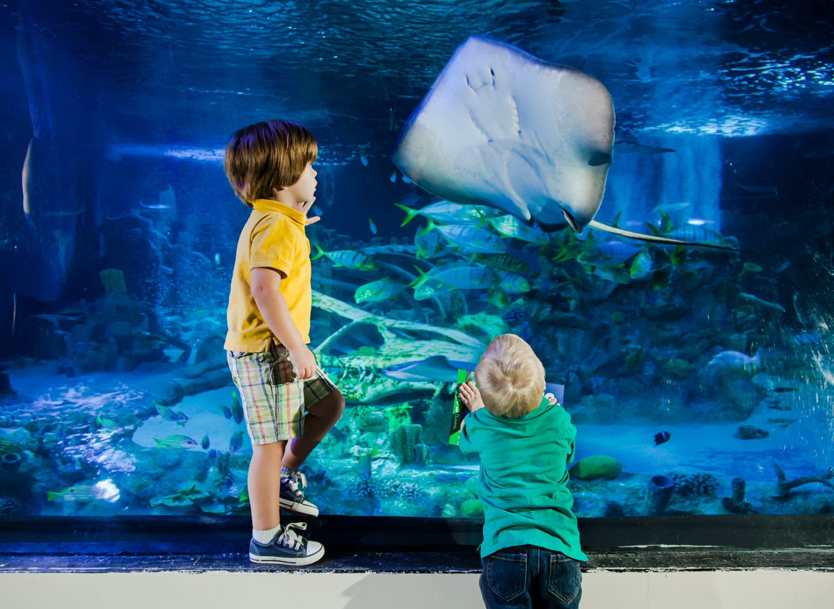 Spring Break Things to Do Near DFW | Family Activities & Events