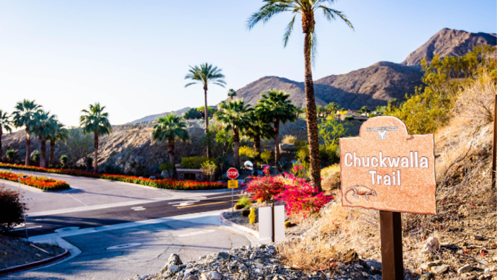 chuckwalla touring