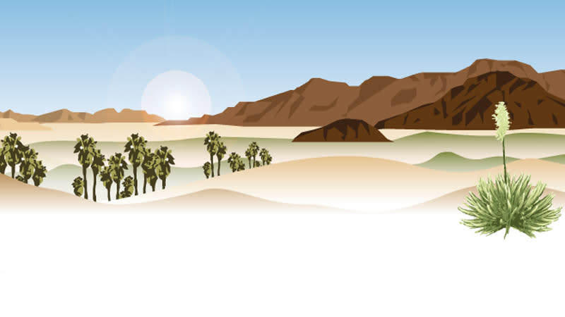 Town of Yucca Valley | Yucca Valley, CA