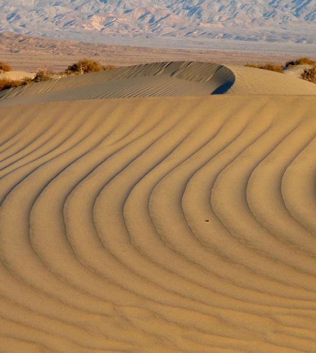 largest sand desert