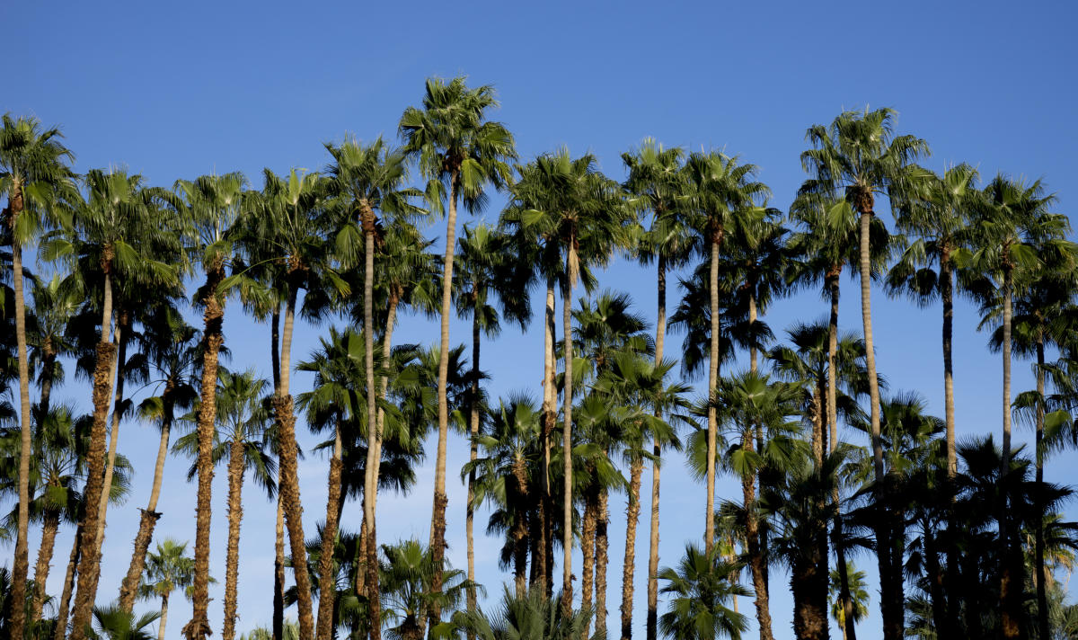 Join Greater Palm Springs Co-op Marketing Programs