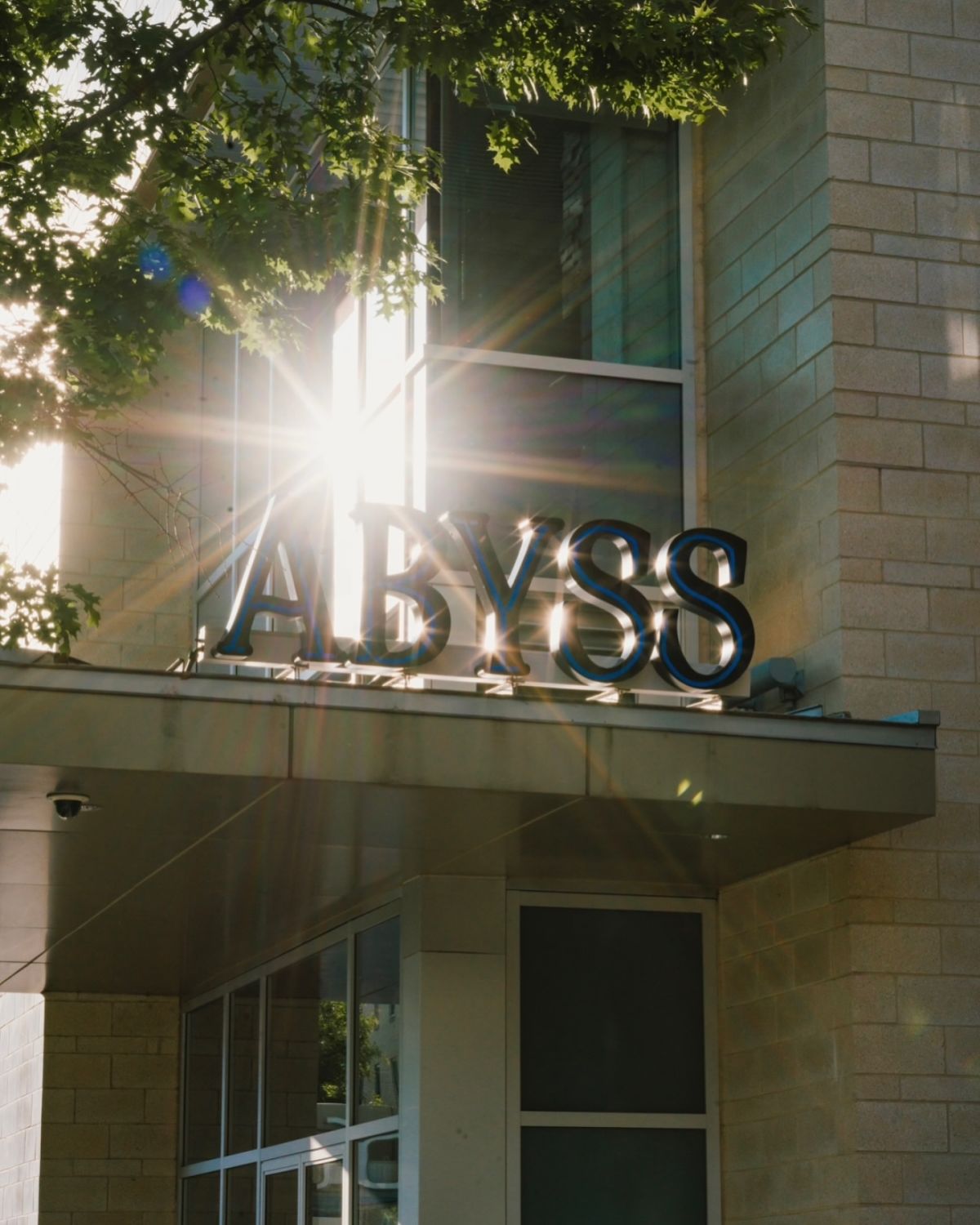 Abyss