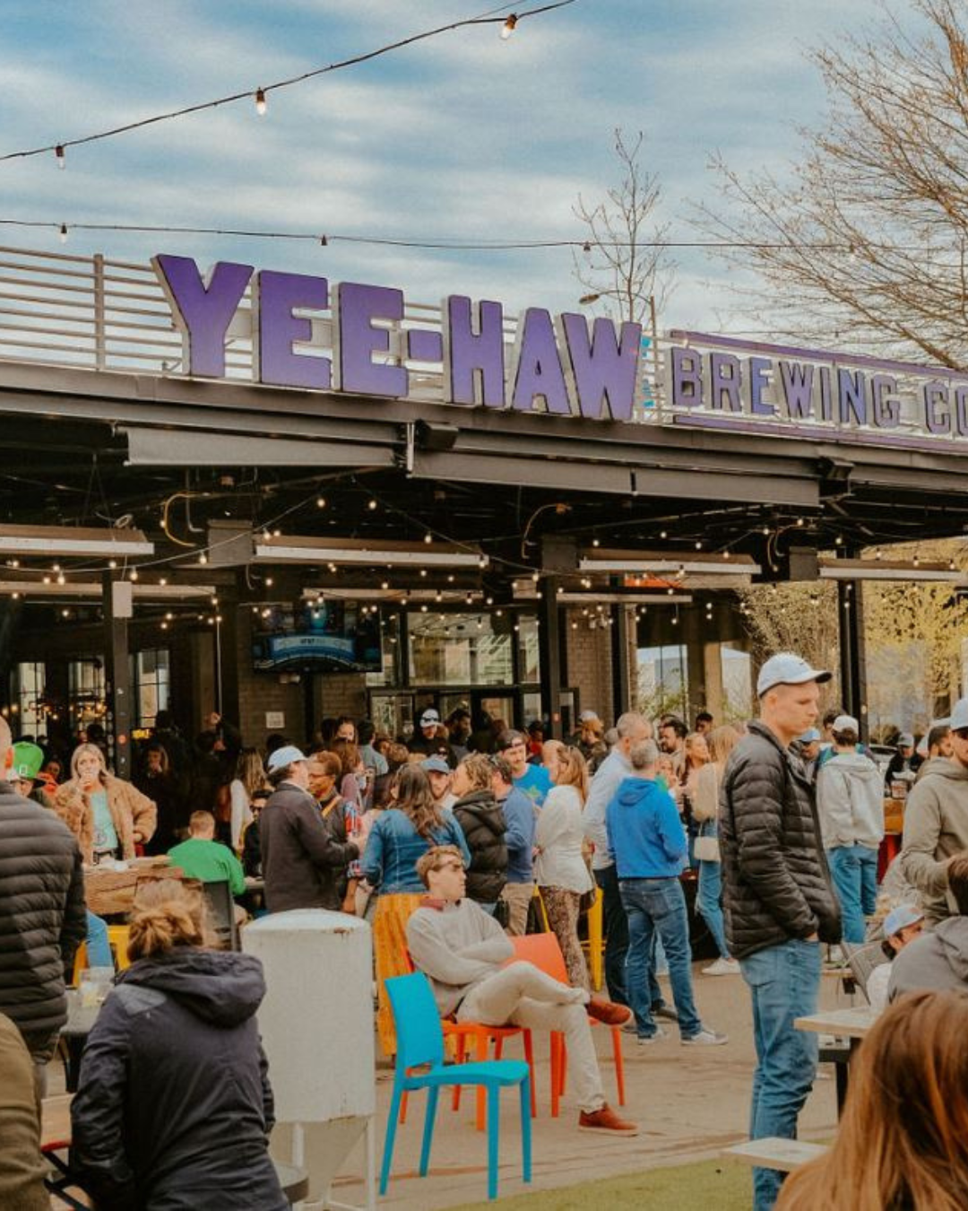 Yee-Haw Brewing Co.