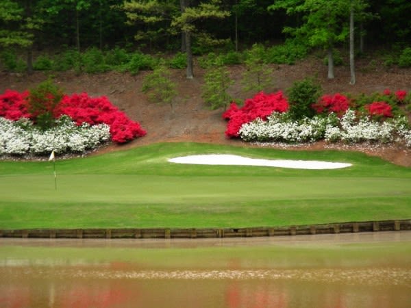 The Preserve at Verdae