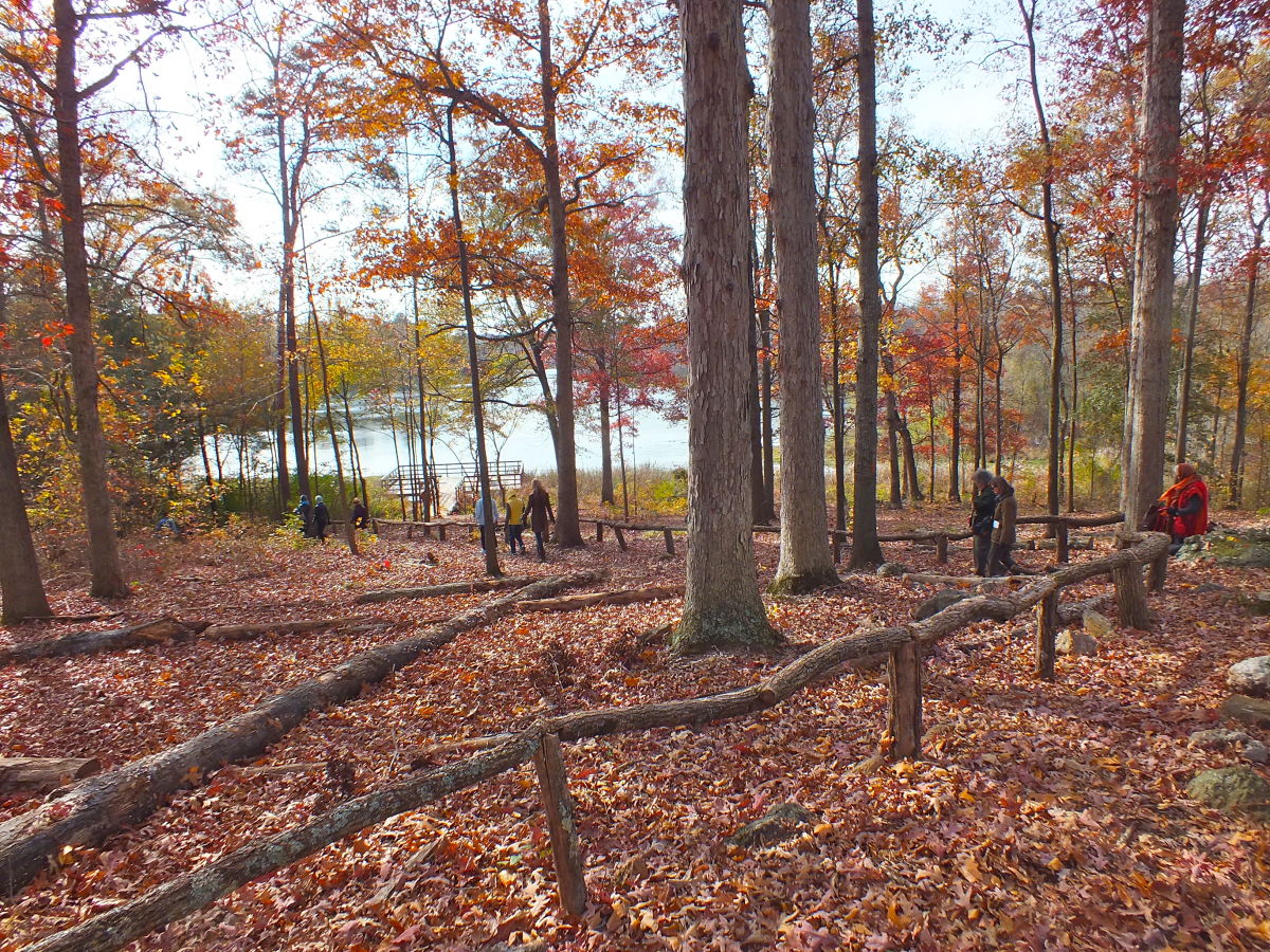 Conestee Nature Preserve