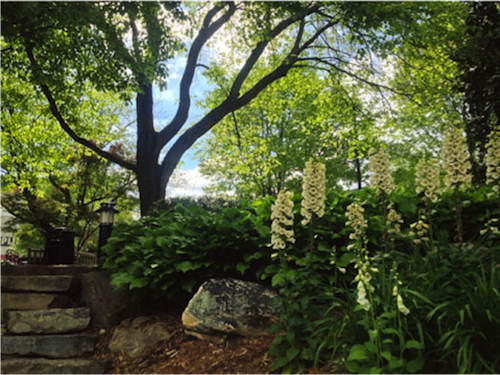 City of Greenville Parks, Recreation, and Tourism